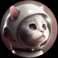 Ton Cat ($TCAT) Price, Charts, and Details | Coinbazooka